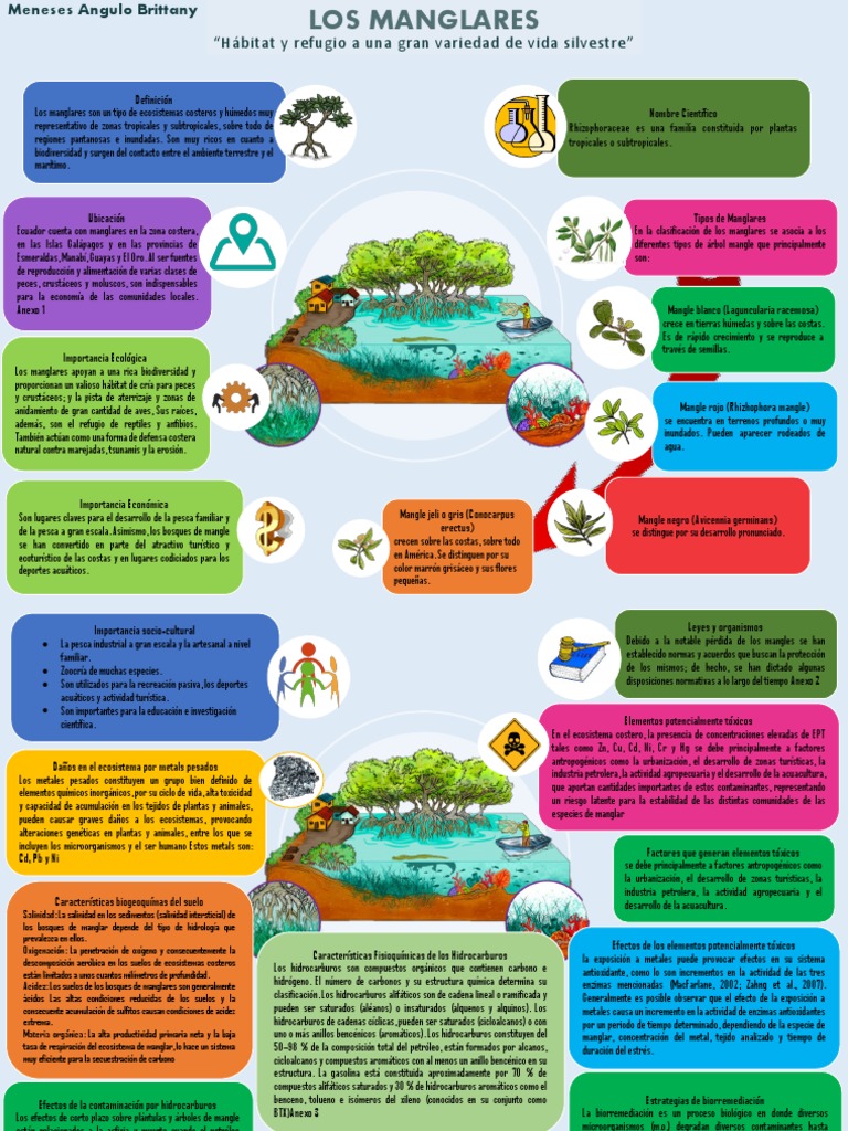 Proyecto Los Manglares Infografía | PDF | Hidrocarburos | Mangle
