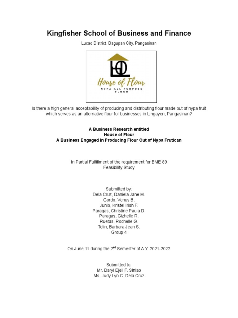 Nypa Flour Feasibility Study | PDF | Social Media Marketing | Digital Marketing