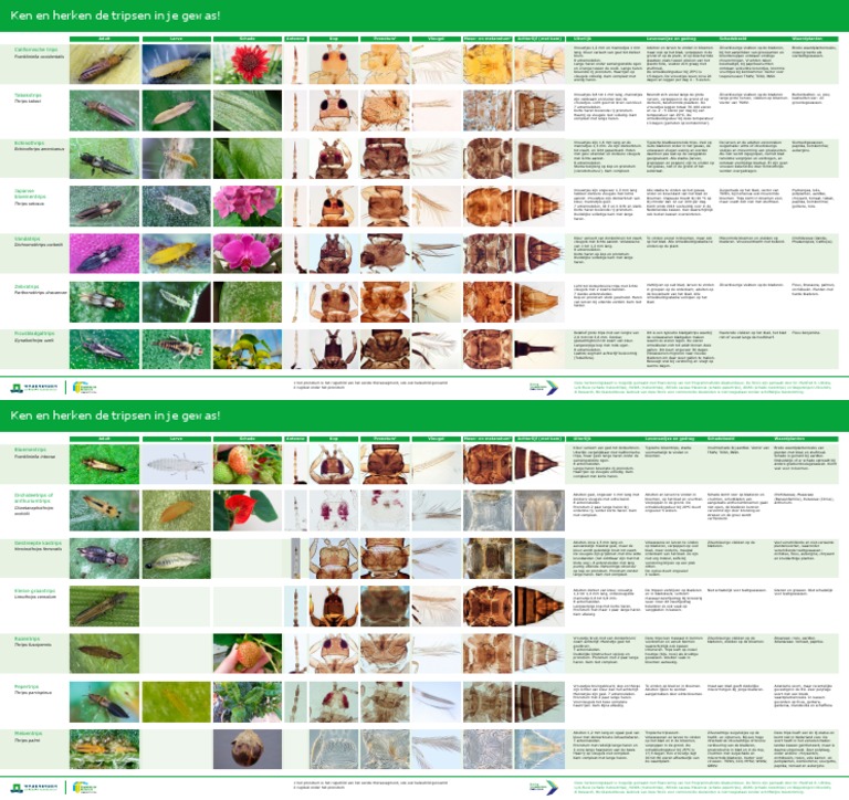 PSG - WPR - Folder Trips - Def | PDF