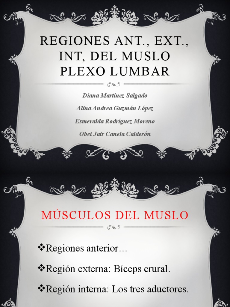 Region Anterior, Interna y Externa Del Muslo | PDF | Anatomía humana ...