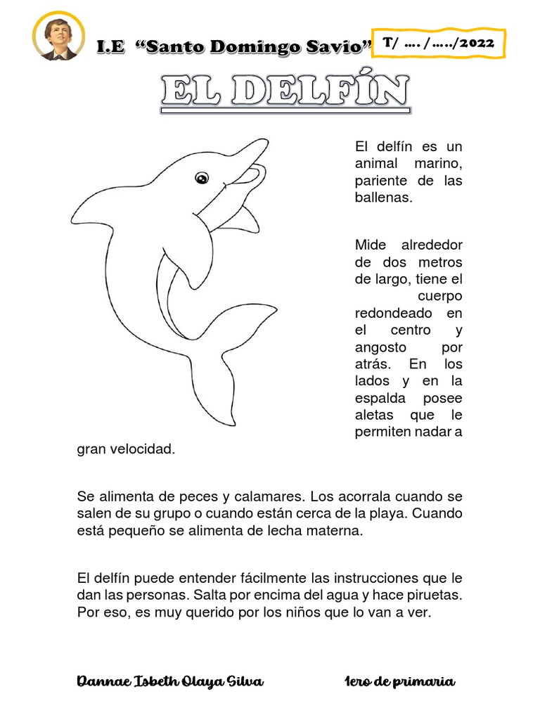 El delfín: mamífero marino y querido | PDF | Pescado | Organismos