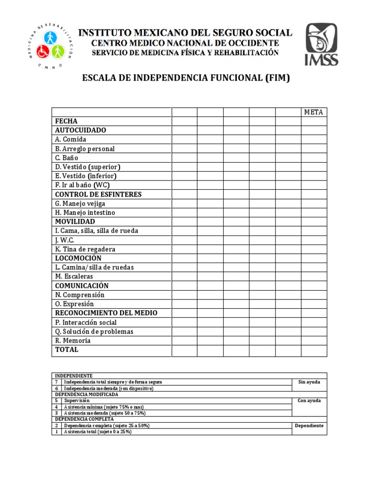 Escala de Independencia Funcional (FIM) | PDF