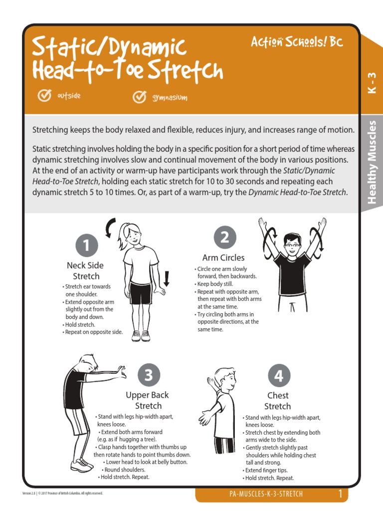 Asbc Static Dynamic Head To Toe Stretch Activity GR K 3 | PDF | Knee | Foot