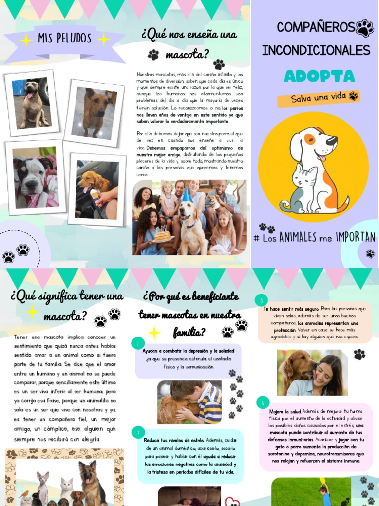Mascotas Triptico-Allca Tania | PDF | Mascota | Amor