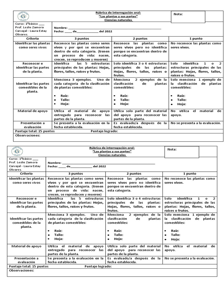 Rúbrica Evaluación Ciencias - 1° Básico | PDF | Plantas | Raíz