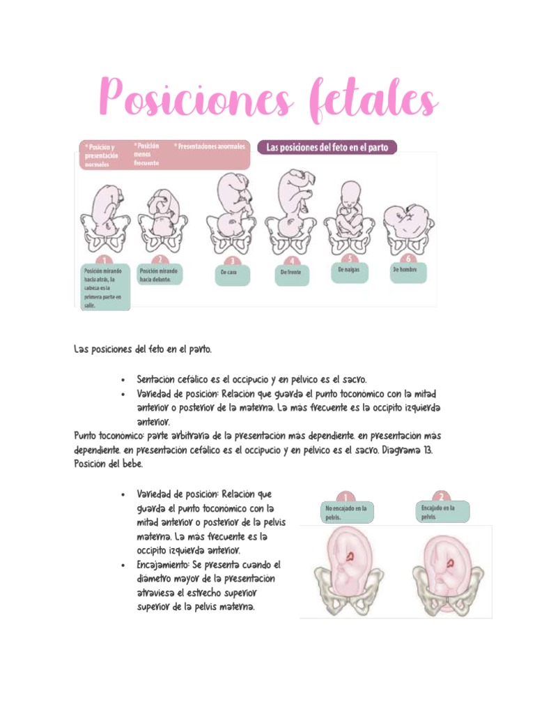 Posiciones Fetales | PDF | Parto | Reproducción humana