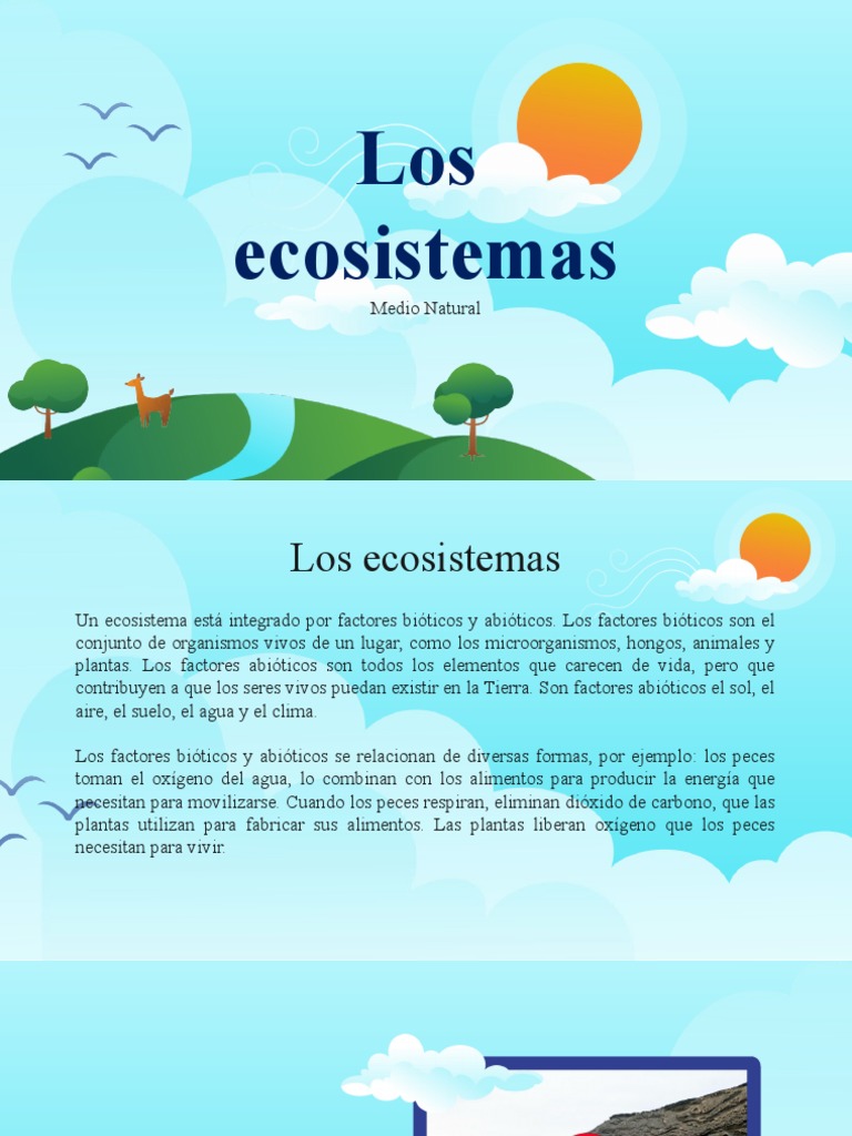 Los Ecosistemas | PDF