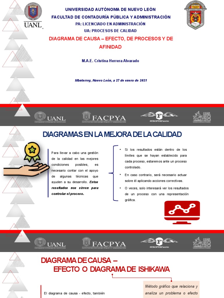 Capitulo 11 Diagramas de Causa y Efecto, Procesos y Afinidad | PDF