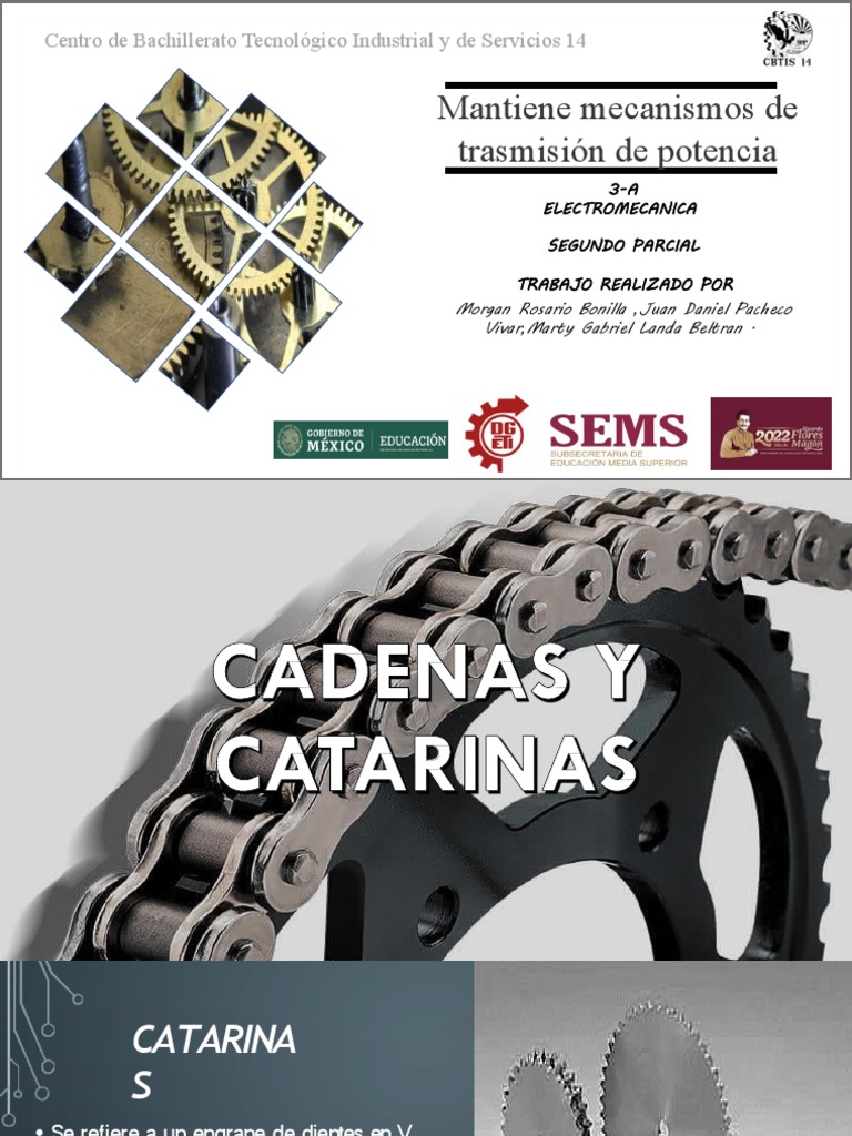Cadenas - y - Catarinas 2 | PDF | Rodamiento (Mecánico) | Bienes manufacturados