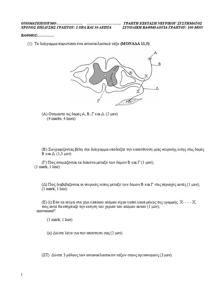 Nervous System Test | PDF