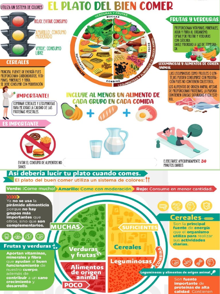 Plato Del Buen Comer | PDF