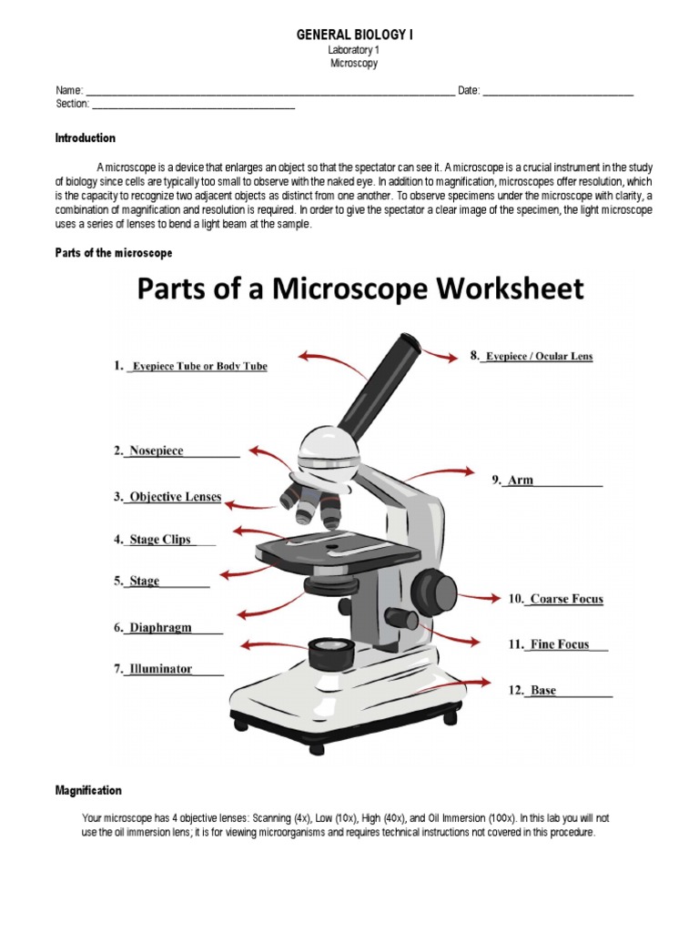 General Biology I Lab Manual 1 2 | PDF | Cell (Biology) | Microscope