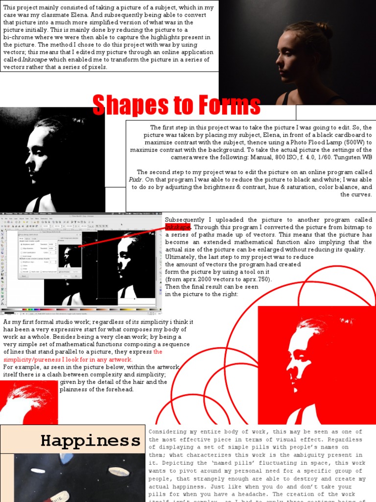 Visual Arts Process Portfolio Sample | PDF