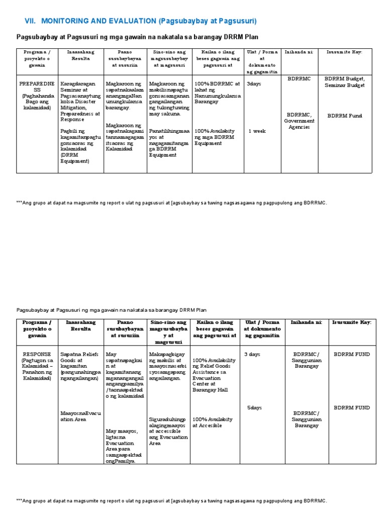 VII. MONITORING AND EVALUATION (Pagsubaybay at Pagsusuri) | PDF