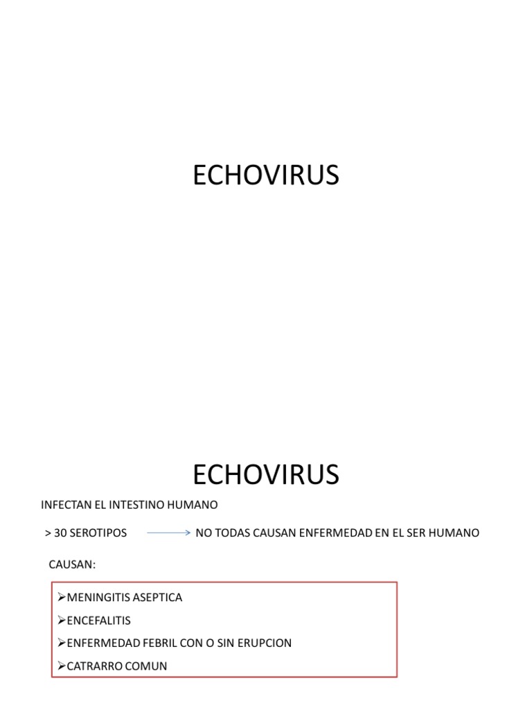 Síntomas y Tratamiento del Echovirus | PDF | Ciencia y matemáticas