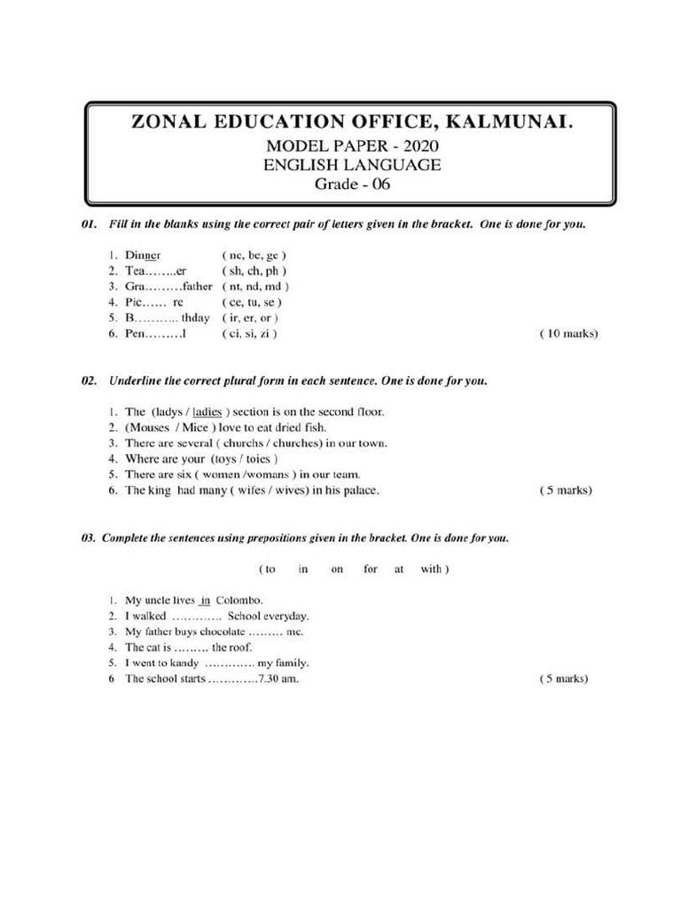 Grade 6 - English - Term Exam | PDF
