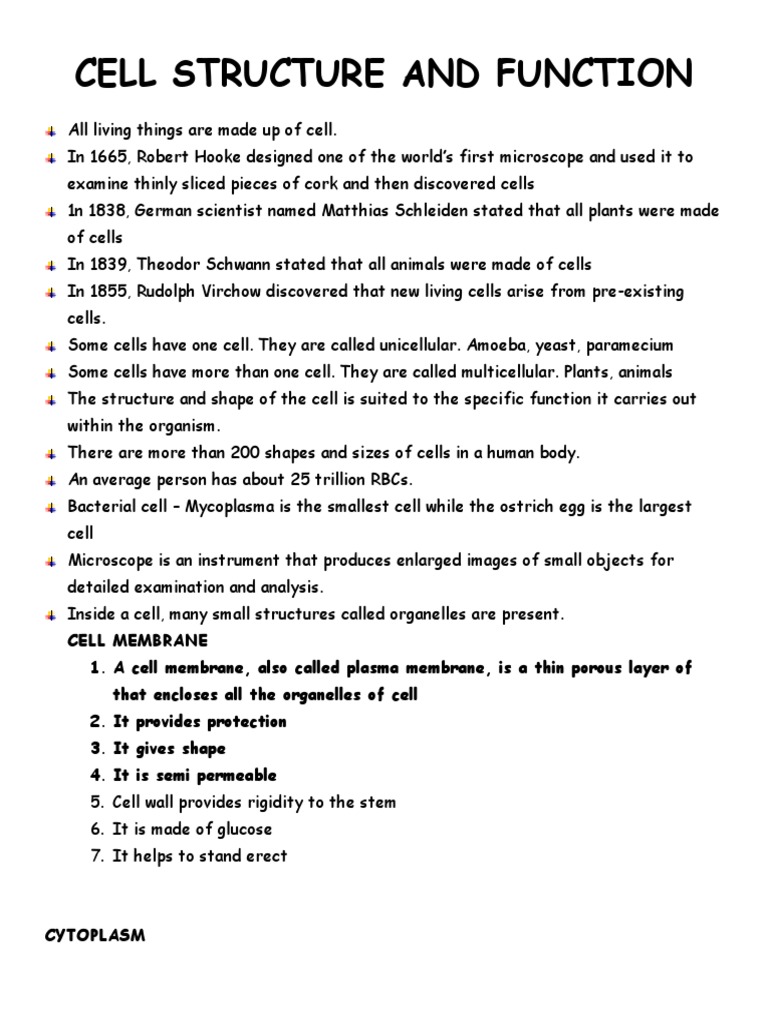 Cell Structure and Function Overview | PDF | Cell (Biology) | Cell Nucleus