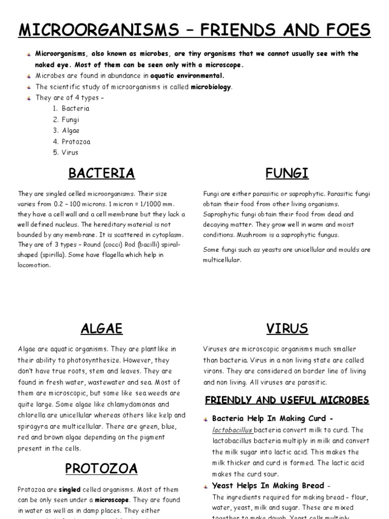 MICROORGANISMS | PDF | Microorganism | Bacteria