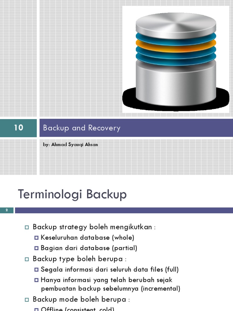 10 - Backup and Recovery | PDF