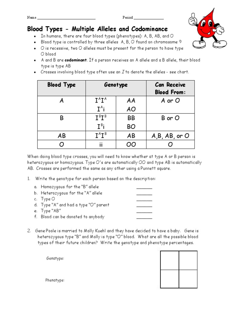 Blood Type HW Worksheet | PDF | Allele | Dominance (Genetics)