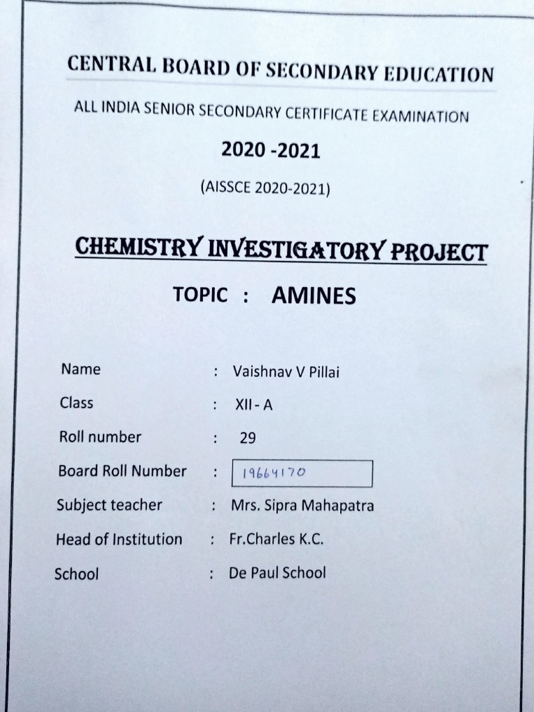 CBSE Chemistry Project on Amines | PDF | Amine | Functional Group
