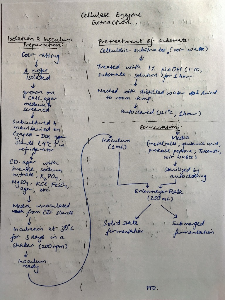Cellulase Enzyme Extraction Flowchart | PDF | Catalysts