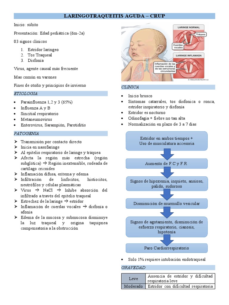 Resumen - Laringotraqueitis Aguda | PDF | Medicina CLINICA ...