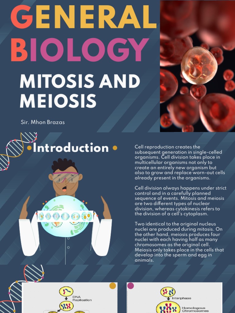 Cueva - Assignment Mitosis and Meiosis | PDF | Meiosis | Mitosis