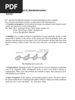Class 10 - Reproduction | PDF | Reproduction | Sexual Reproduction