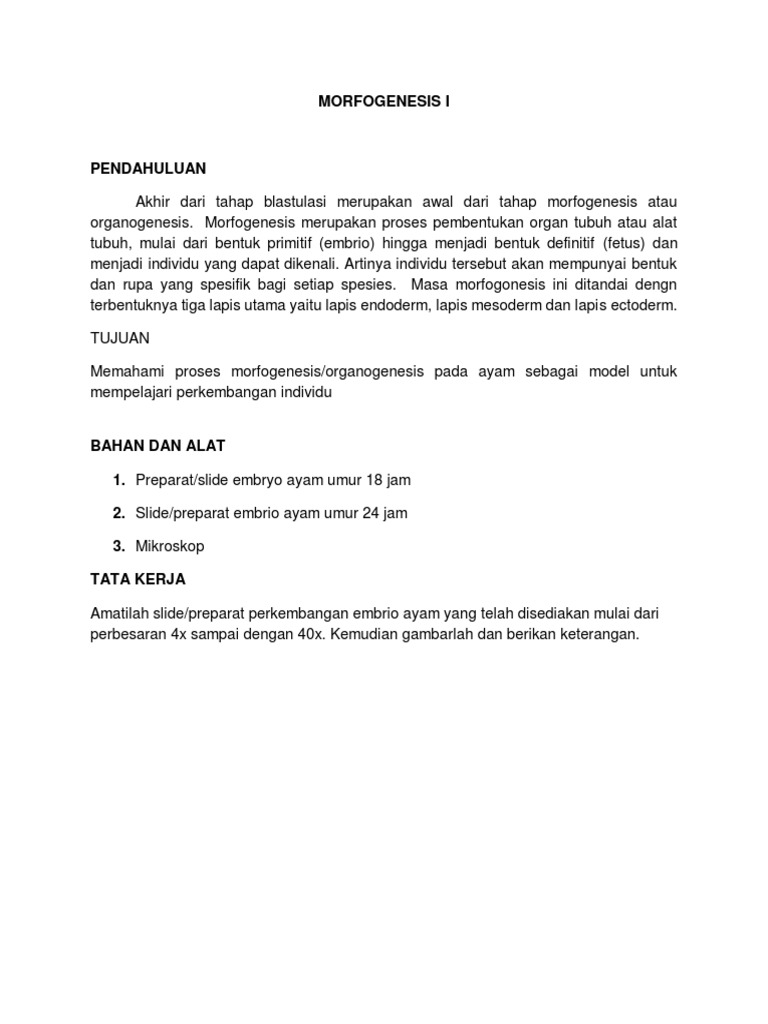 Prak 5 - Morfogenesis 1 | PDF