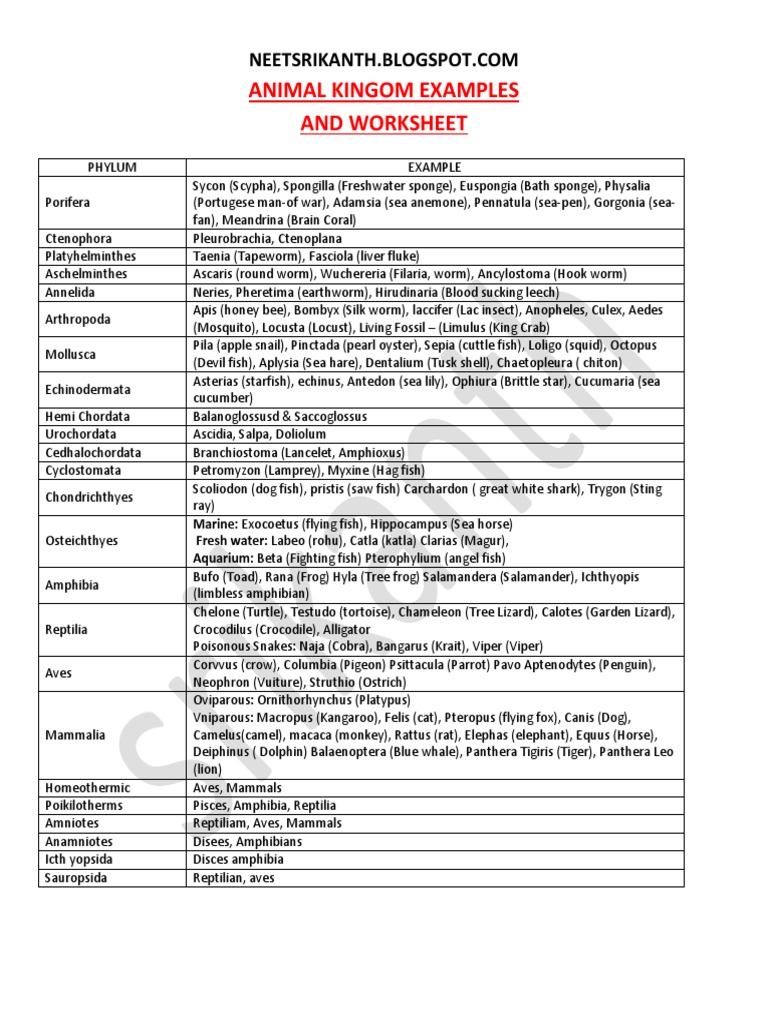 Animal Kingdom Examples and Worksheet | PDF | Reptile | Amphibian