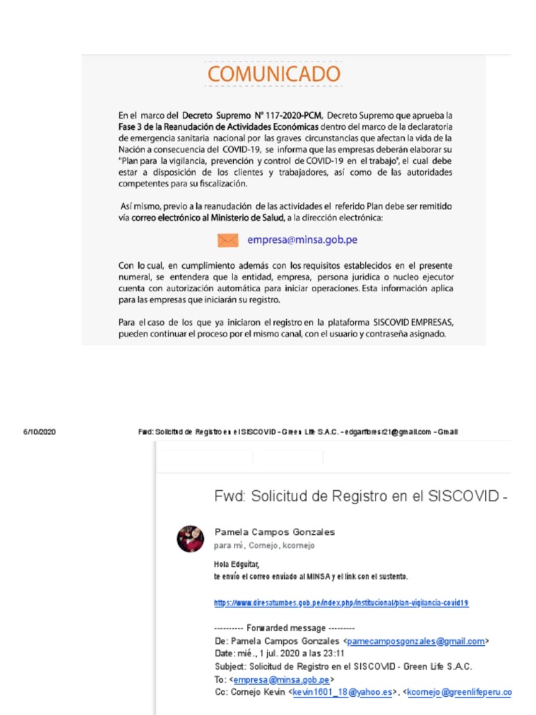 Documento Minsa | PDF | Gmail