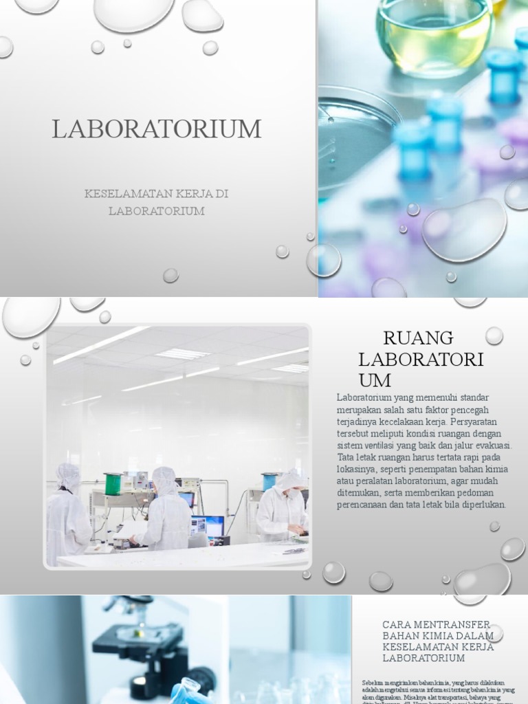 Laboratorium | PDF