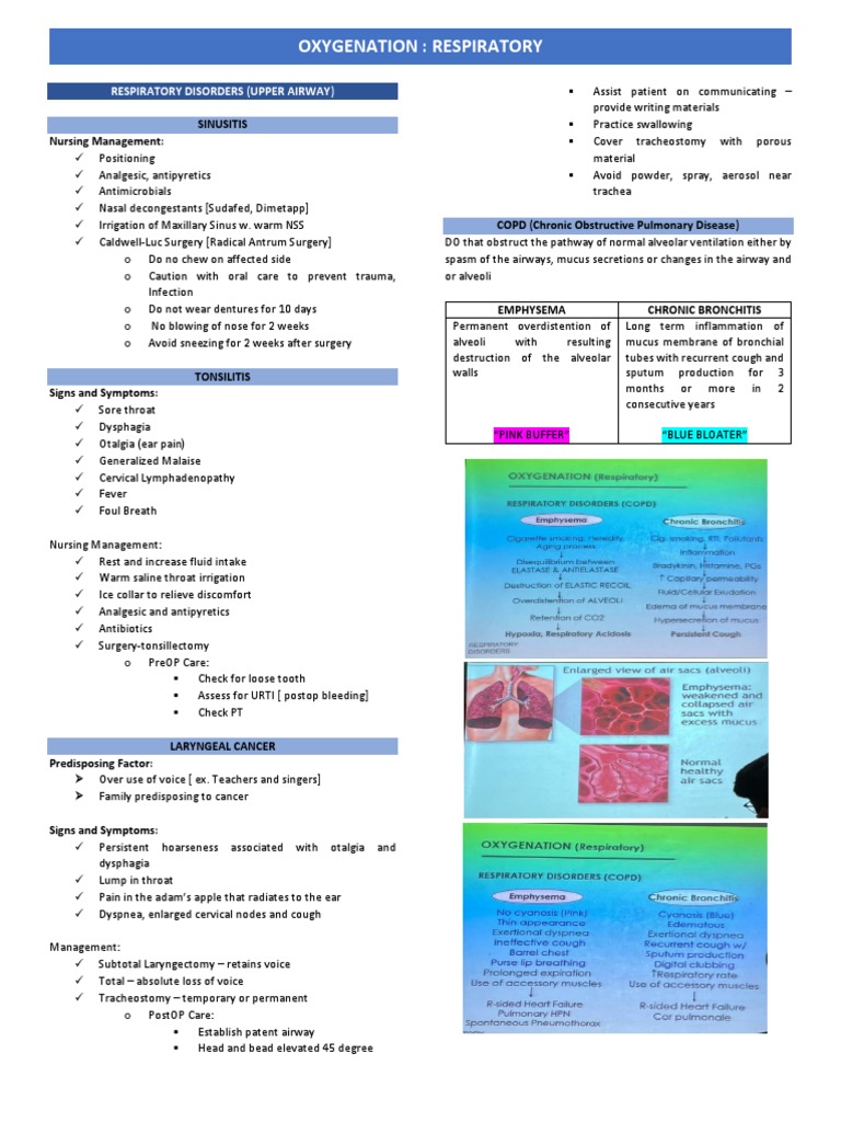 Medical Surgical Nursing Module 19 | PDF | Pneumonia | Asthma
