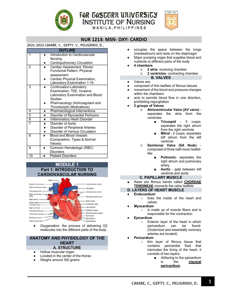 Medical Surgical Nursing Module 10 | PDF | Heart Valve | Heart