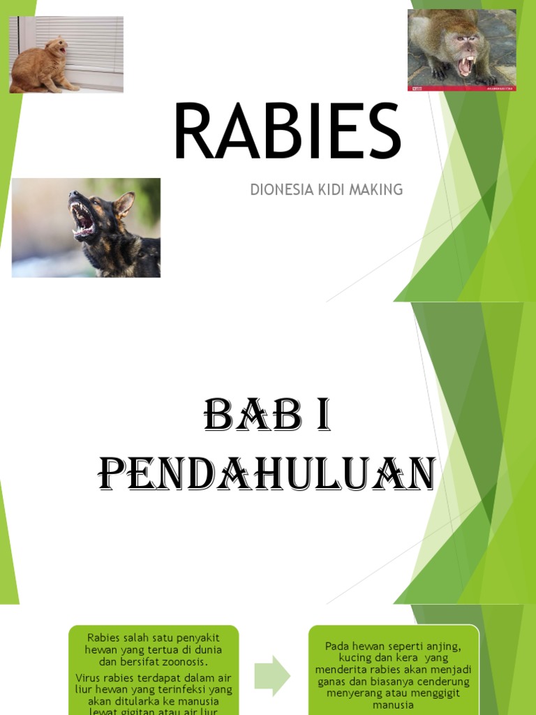 Rabies | PDF