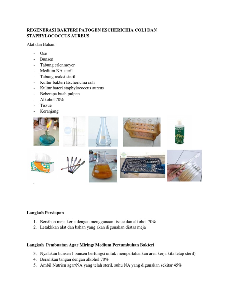 Regenerasi Bakteri Patogen Escherichia Coli Dan Staphylococcus Aureus | PDF