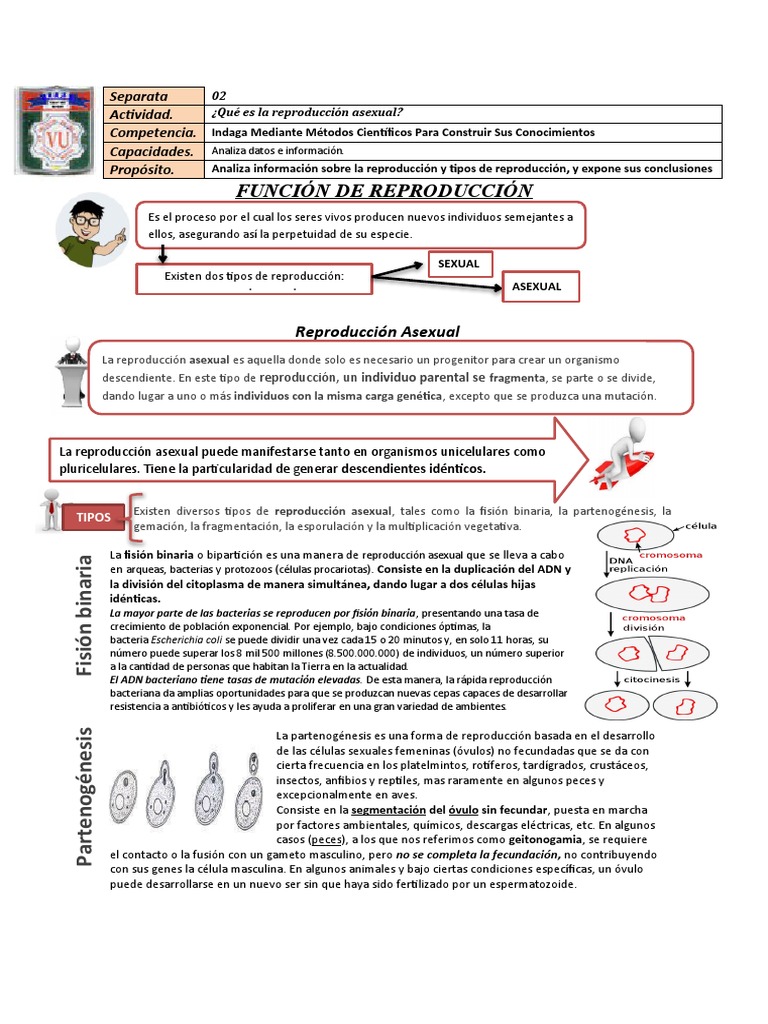 Separata 02 | PDF | Espora | Reproducción