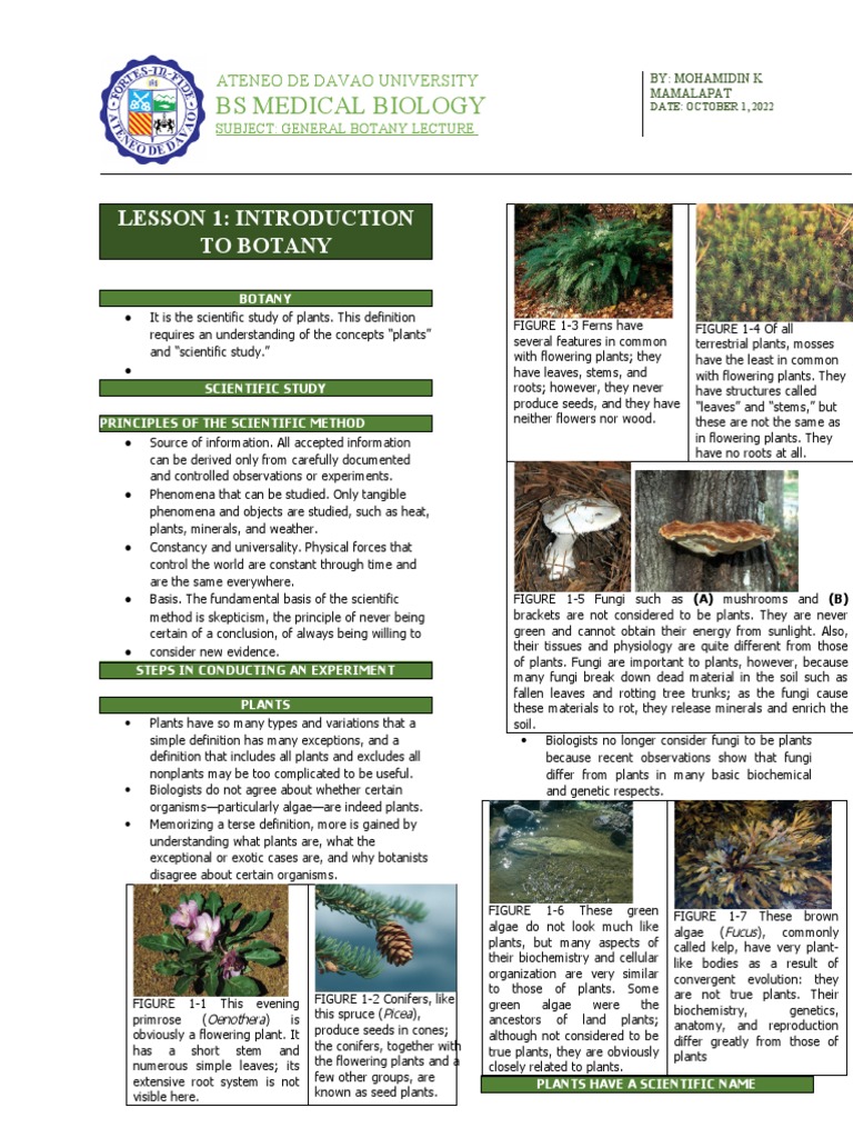 Introduction to General Botany Concepts | PDF | Meiosis | Chromosome