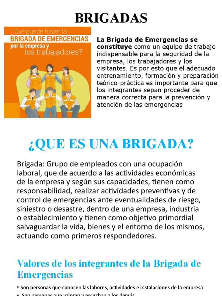 BRIGADAS | PDF