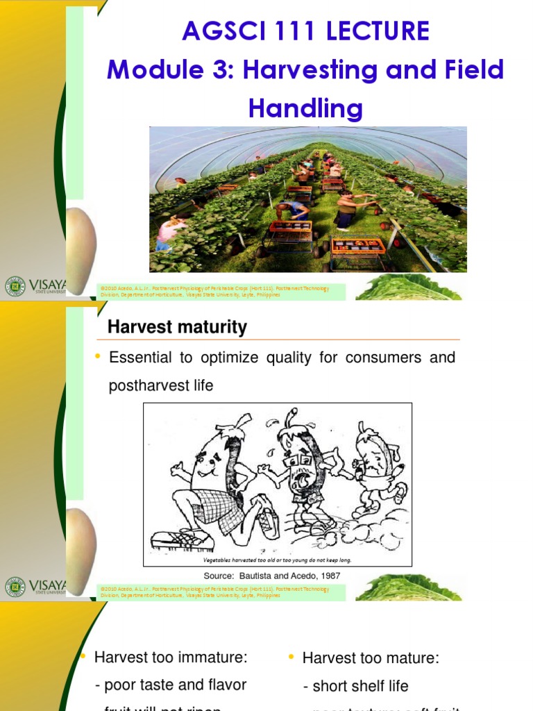 Agsci 111 Module 3 - Harvesting and Field Handling | PDF