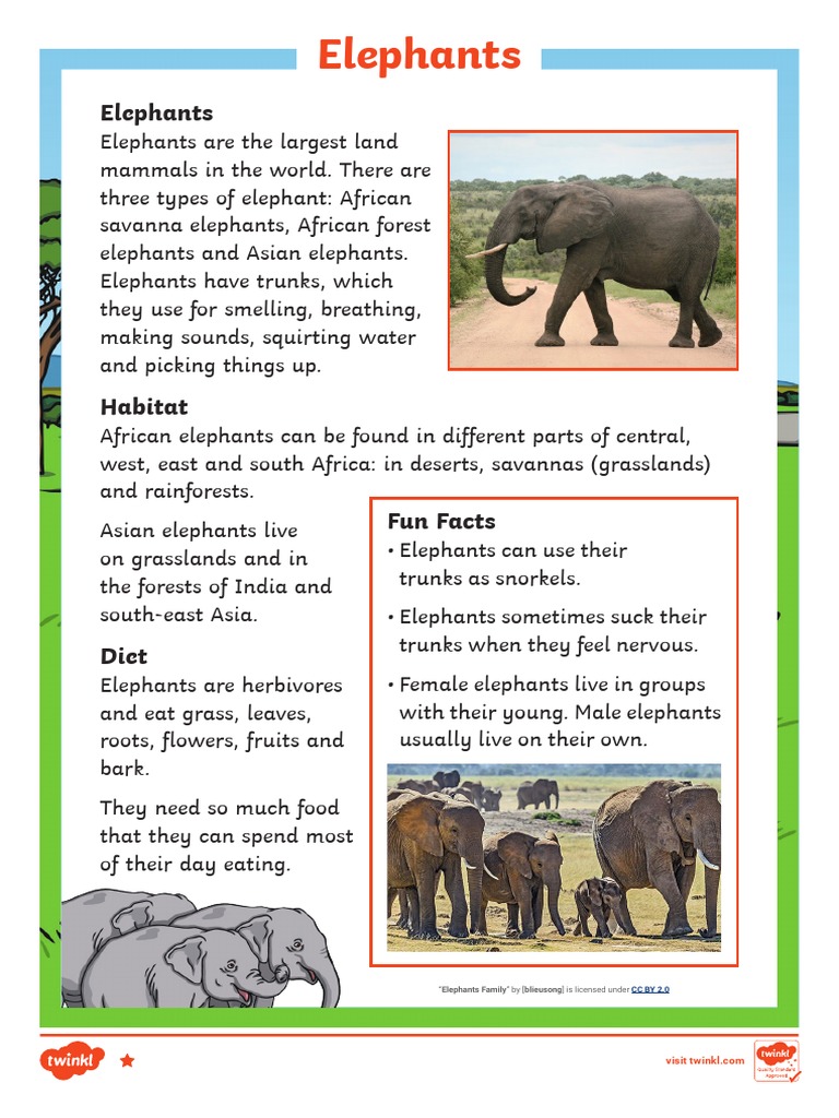 T Tp 2549857 Elephants Fact Files Ver 1 Pdf Elephant Mammals