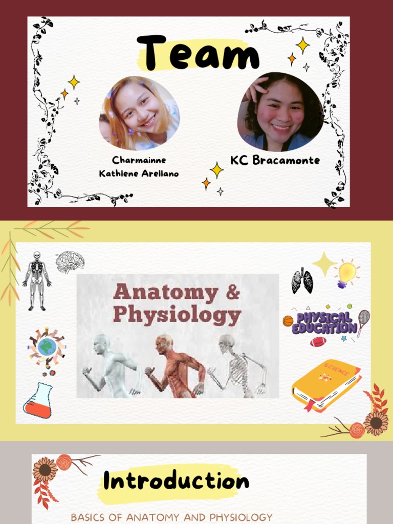 Basics of Anatomy and Physiology: An Overview of the Musculoskeletal ...