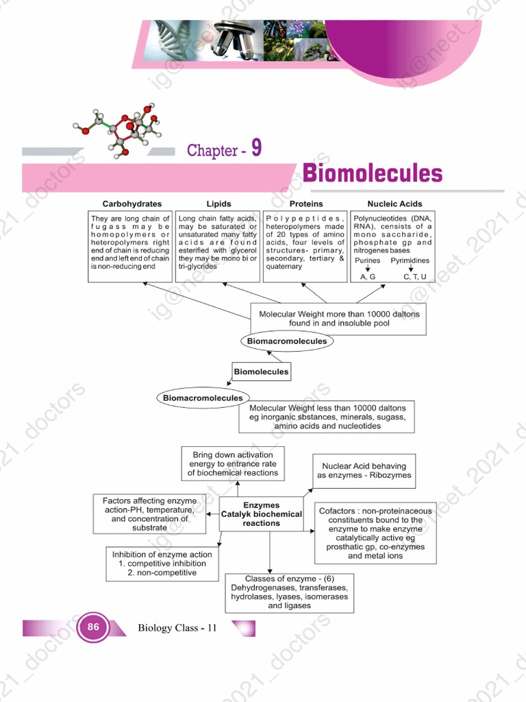 SHORT NOTES - BIOMOLECULE Neet | PDF