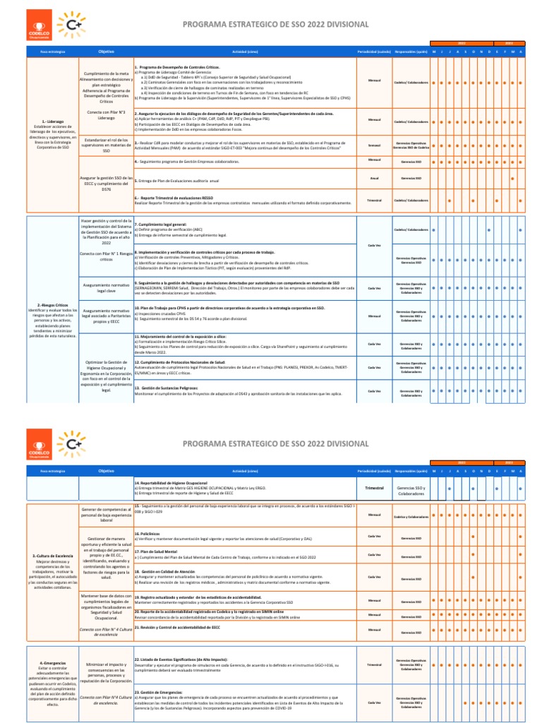 Actualizacion Programa SSO DCH 2022 | PDF | Higiene Ocupacional | Aprendizaje