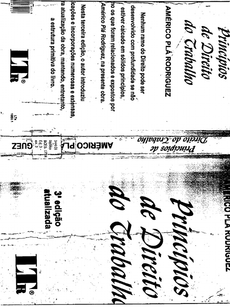 Americo Pla Rodriguez Principios Do Dire | PDF