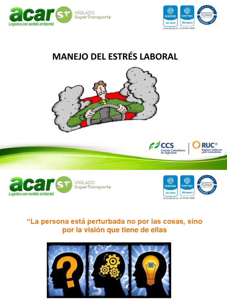 Manejo Del Estres | PDF | Estrés (biología) | Las emociones