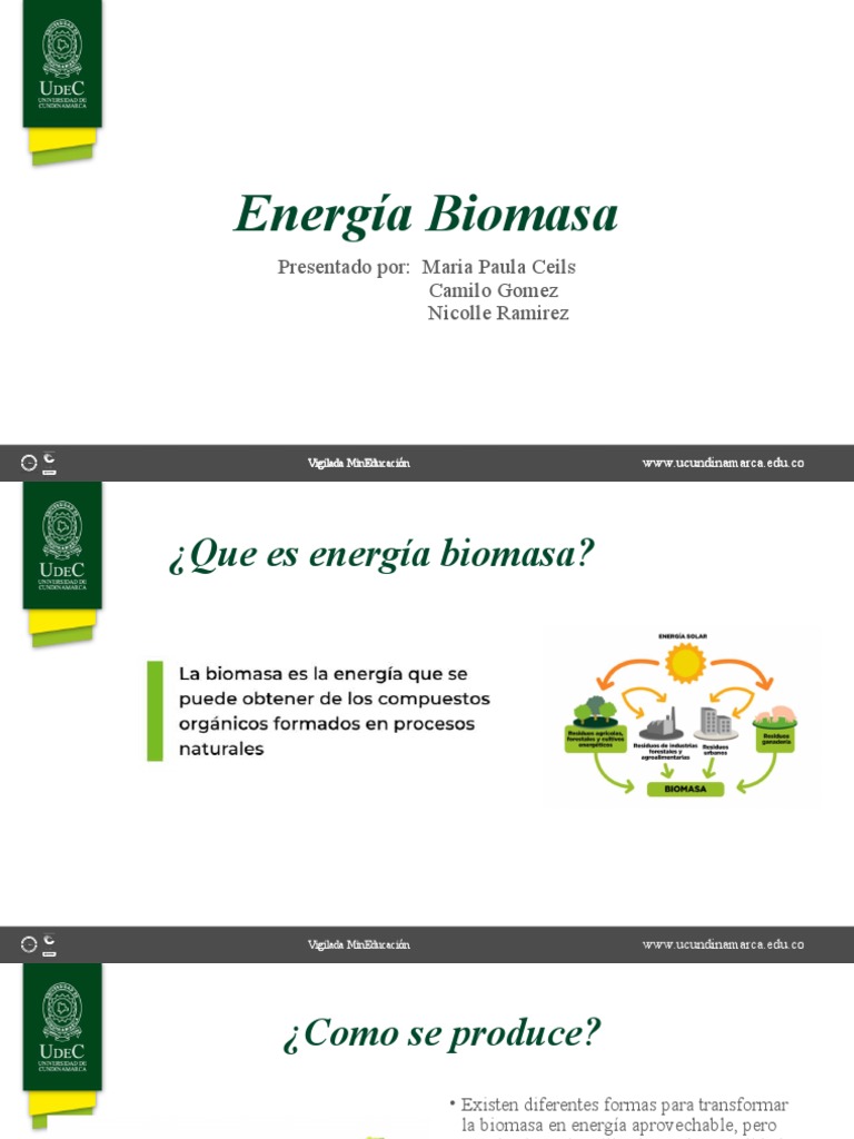 Energía Biomasa | PDF | Biomasa | Energía renovable