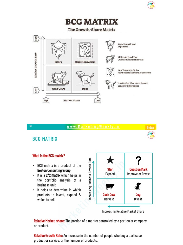 BCG Matrix Anaylsis | PDF