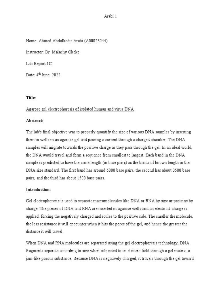 Agarose Gel Electrophoresis | PDF | Gel Electrophoresis | Agarose Gel ...